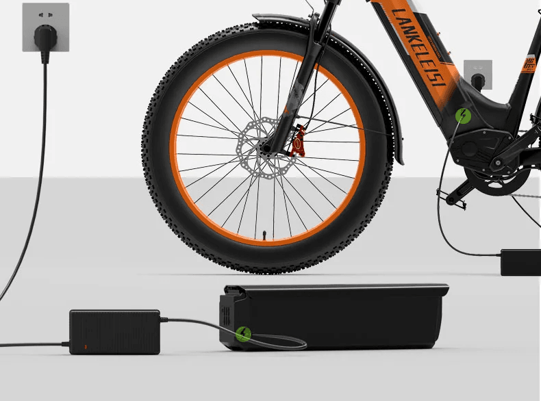 Lankeleisi RX800 Plus 2025 Version 1000W 20" Fat Bike 960Wh Full ...