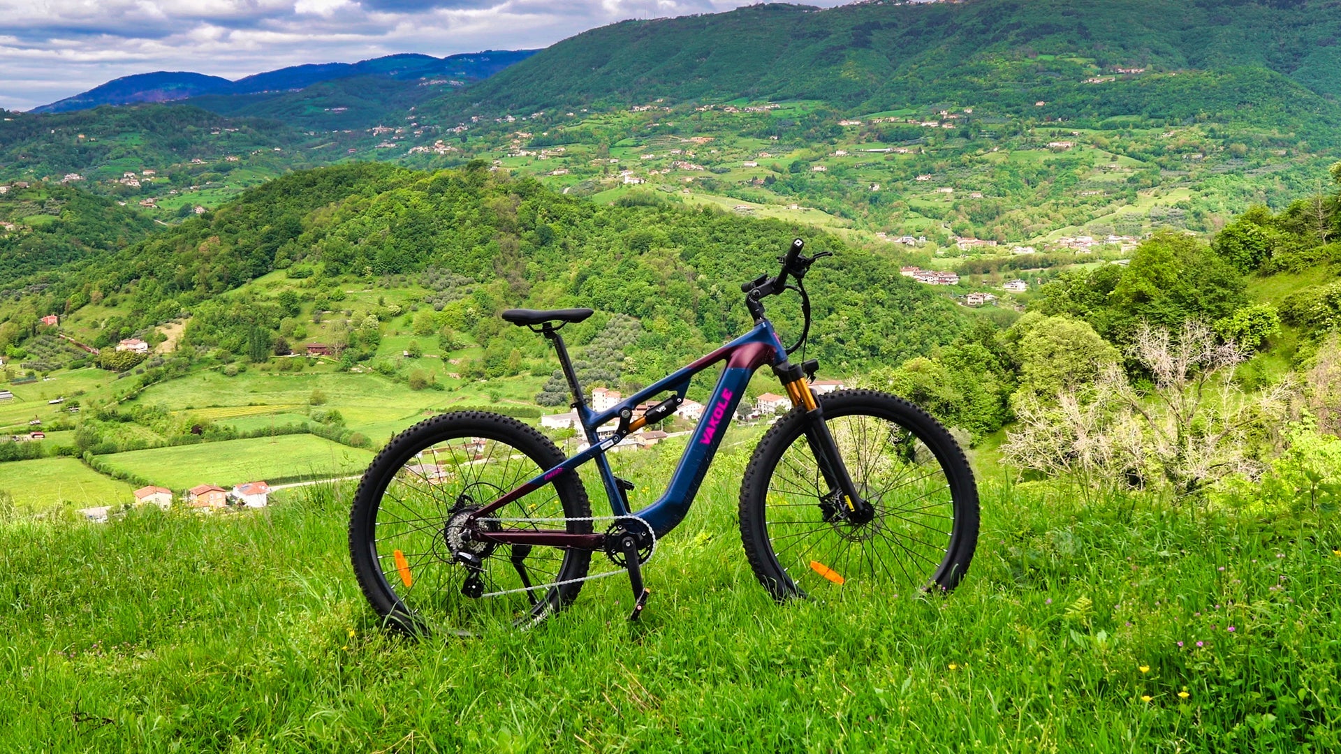 Vakole SG20 250W 20" Fat Bike Elektrofahrrad Lastenrad E-bike 48V 15,6Ah Samsung Akku – Buybestgear