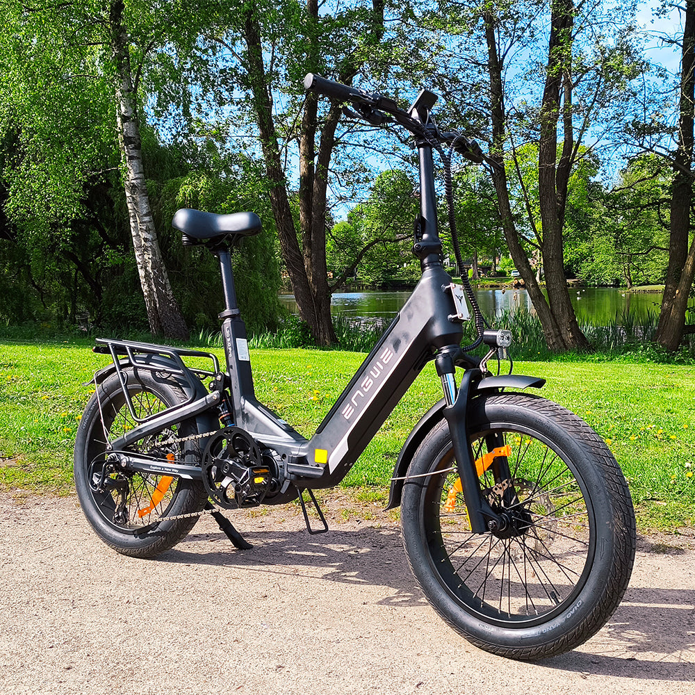 Engwe L20 3.0 PRO 250W Mid-drive Motor 20" Foldable Electric Bike 720W ...