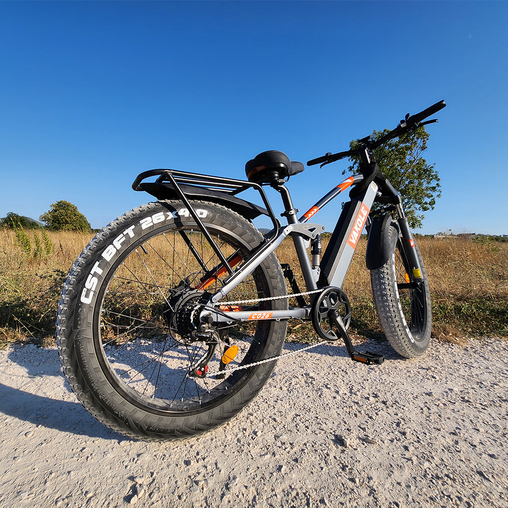 Vakole CO26 750W 26" Fat Bike VTT électrique E-MTB 48V 16Ah Batterie ...