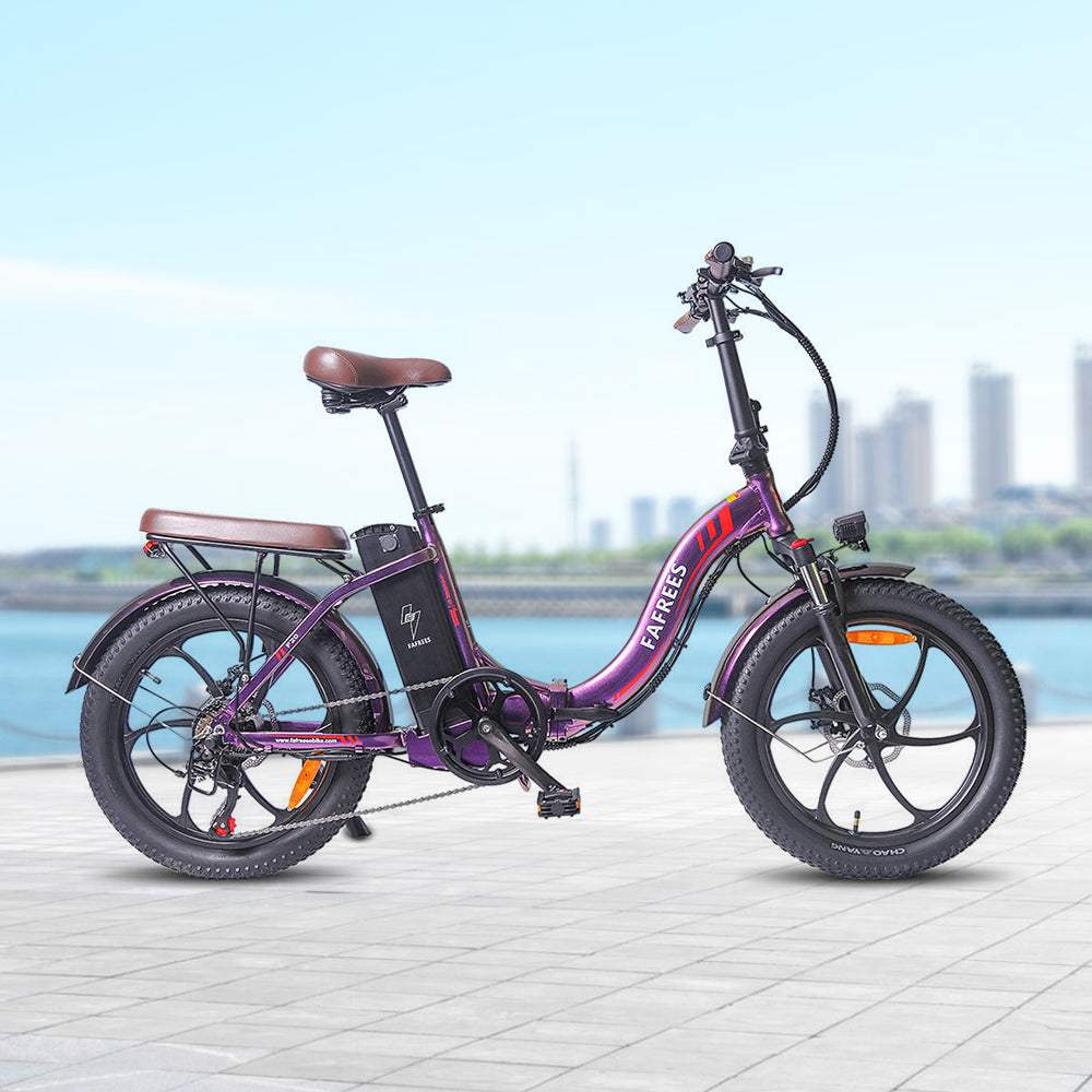 Fafrees F20 Pro 250W 20" Klappbares Elektrisches Fahrrad 648Wh Stadt E ...