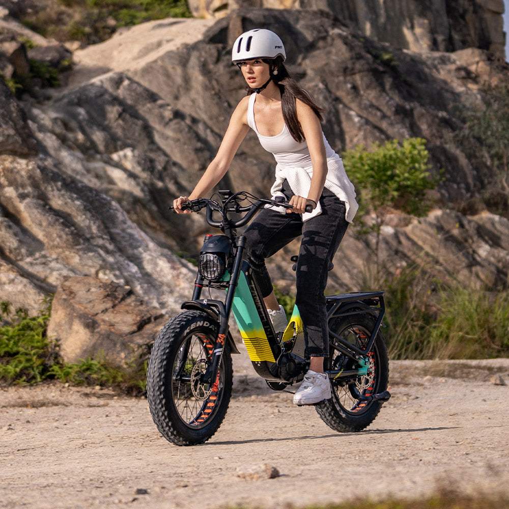 Lankeleisi RX800 Plus Version 2025 1000W Vélo Tout Terrain 20" Fat Bike ...